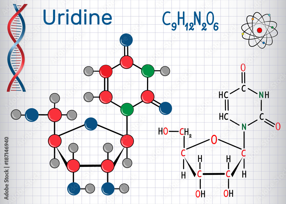 Uridine - pyrimidine nucleoside molecule, is important part of RNA ...