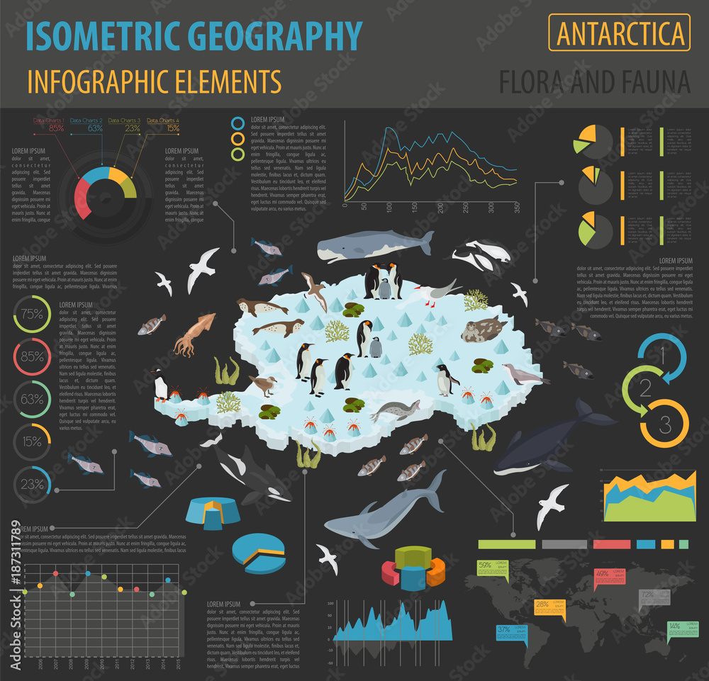 Isometric 3d Antarctica flora and fauna map elements. Animals, birds ...