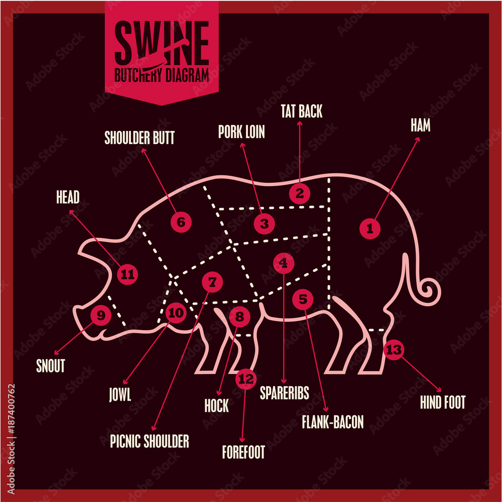 Cuts of pork in color. Swine butchery diagram. Barbecue,. Pork meat ...