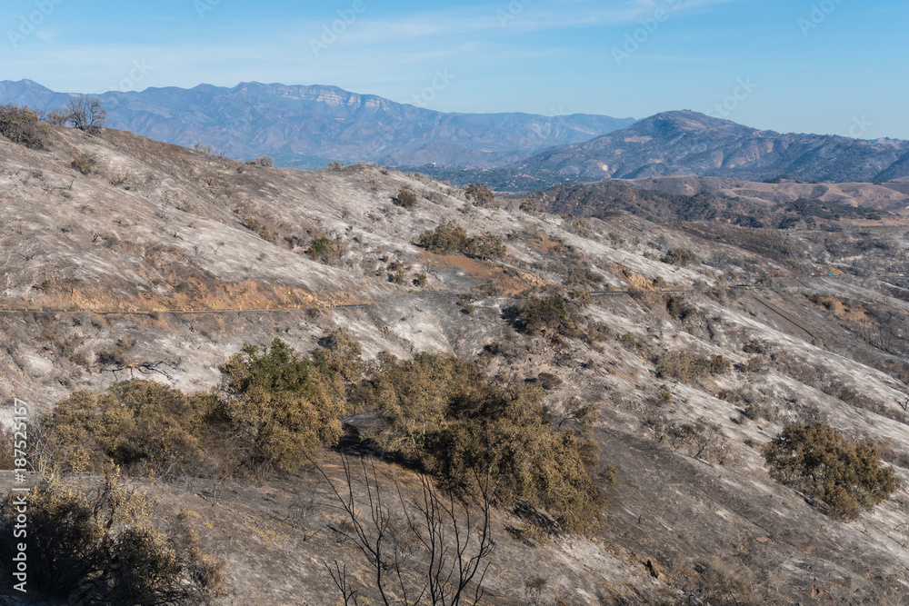 Views of Thomas Fire damage in the hills around Lake Casitas in Ojai ...
