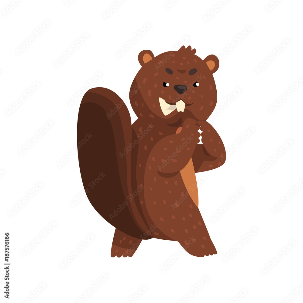 Cartoon scheming beaver with brown fur, little ears, shaped tail and ...