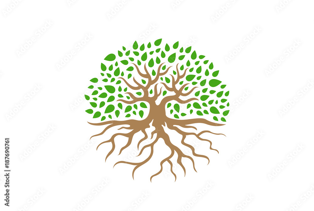 Circle Tree with Roots vector Illustration. Garden icon Stock Vector ...
