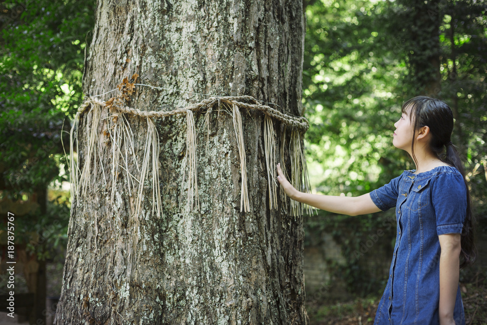 Young woman wearing blue dress touching shimenawa ropes on tree at ...