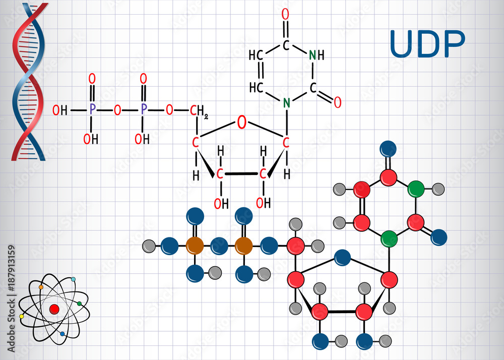 Uridine diphosphate (UDP) nucleotide molecule. Structural chemical ...