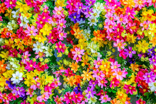 Colorful Flowers Art Background Free Stock Photo - Public Domain Pictures