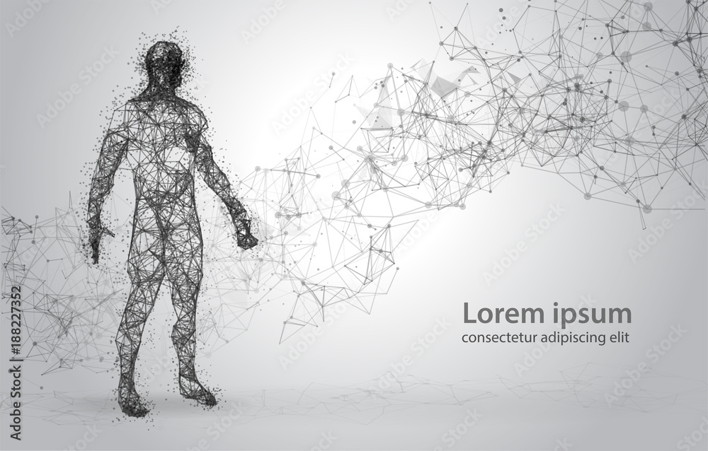 Abstract Wire frame human body. Polygonal 3d model on white background ...