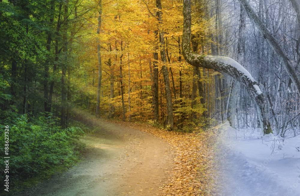 Change of Seasons Stock Photo | Adobe Stock