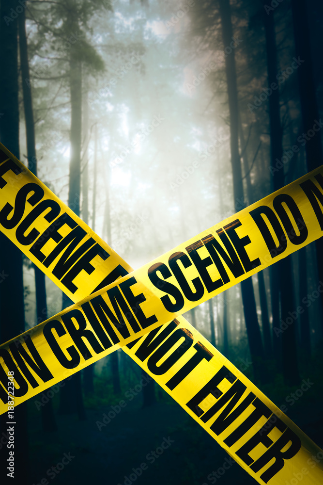 Crime scene tape in the woods Stock Photo | Adobe Stock