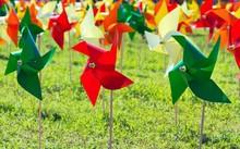 Field Of Pinwheels Free Stock Photo - Public Domain Pictures