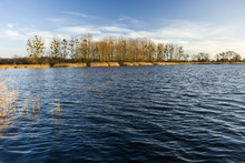 Lake Shore Line Free Stock Photo - Public Domain Pictures