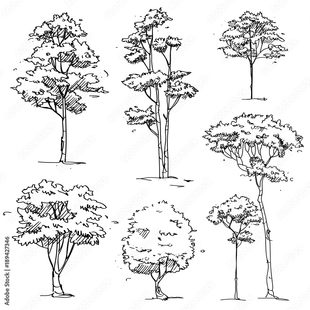 Set of Hand Drawn Trees : Vector Illustration Stock Vector | Adobe Stock