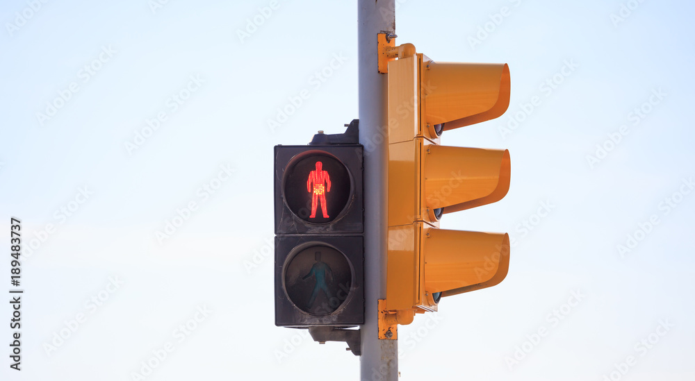 Red traffic light stops pedestrian for the crossing of the road. Sky ...