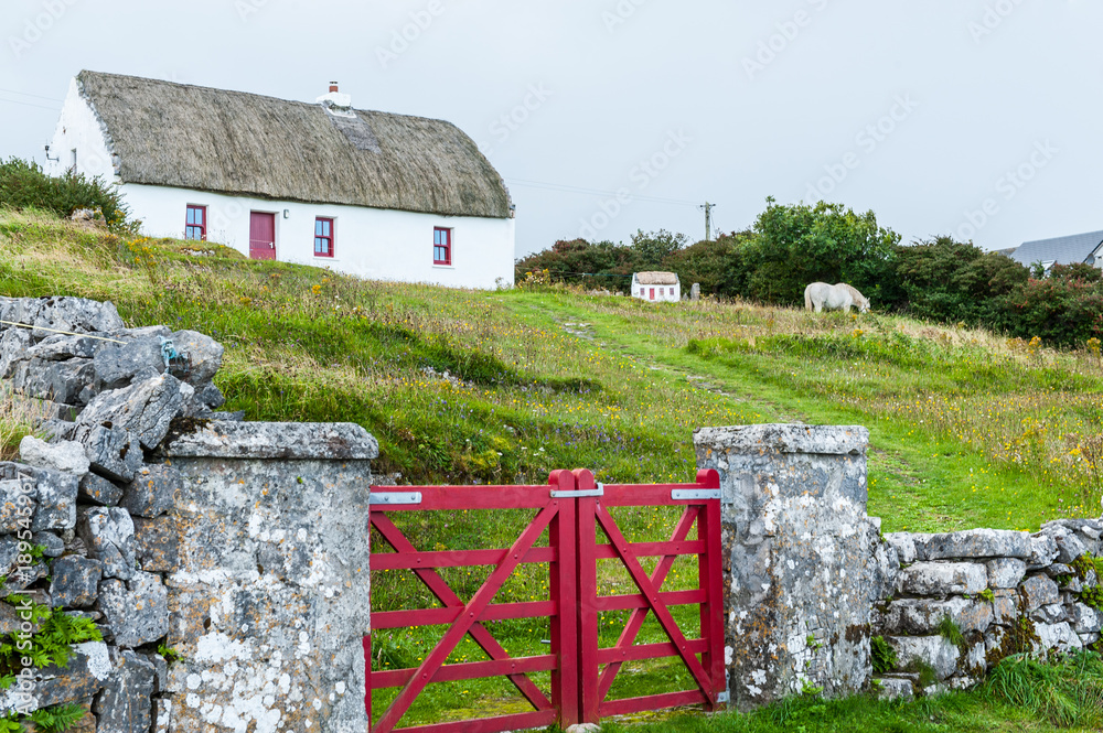 Typical Irish cottage house with thatched roof and stone wall with red ...