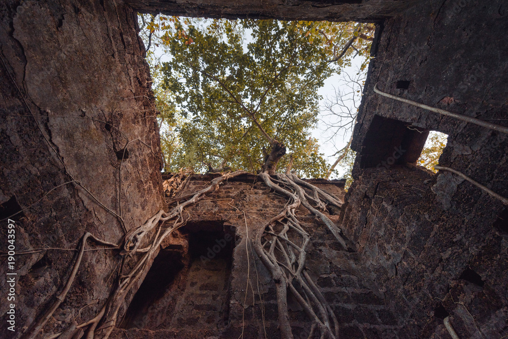 Foto de Stock Fort overgrown with branches. Redi fort (Yashwantgad Fort ...