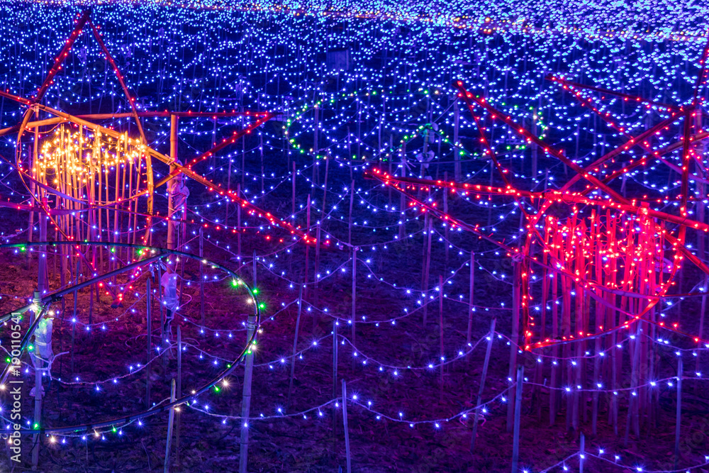 Foto de Stock Illumination of Ichihara Quodo's forest / Ichihara Quodo ...