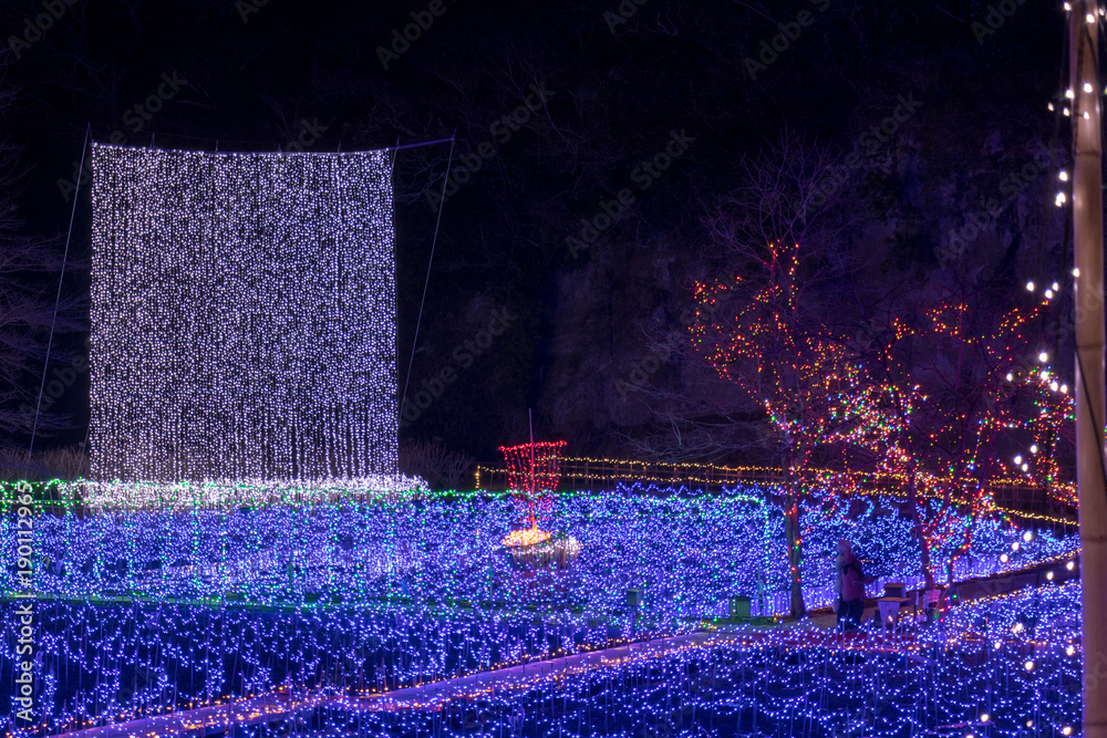 Photo Stock Illumination of Ichihara Quodo's forest / Ichihara Quodo's ...