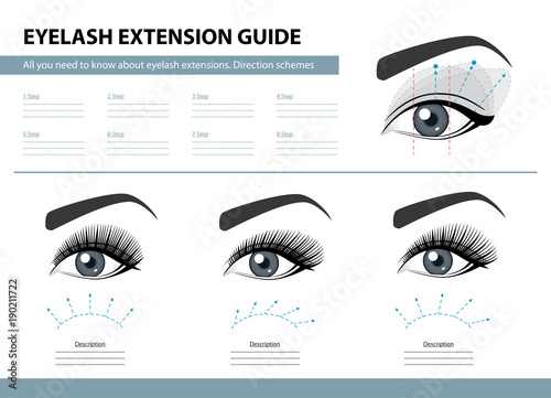 Eyelash extension guide. Direction schemes. Tips and tricks for lash ...