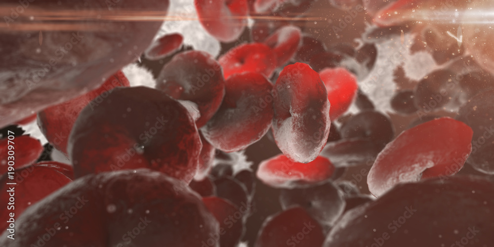 Hemoglobin red blood Cell and White blood cells in blood vessel Stock ...