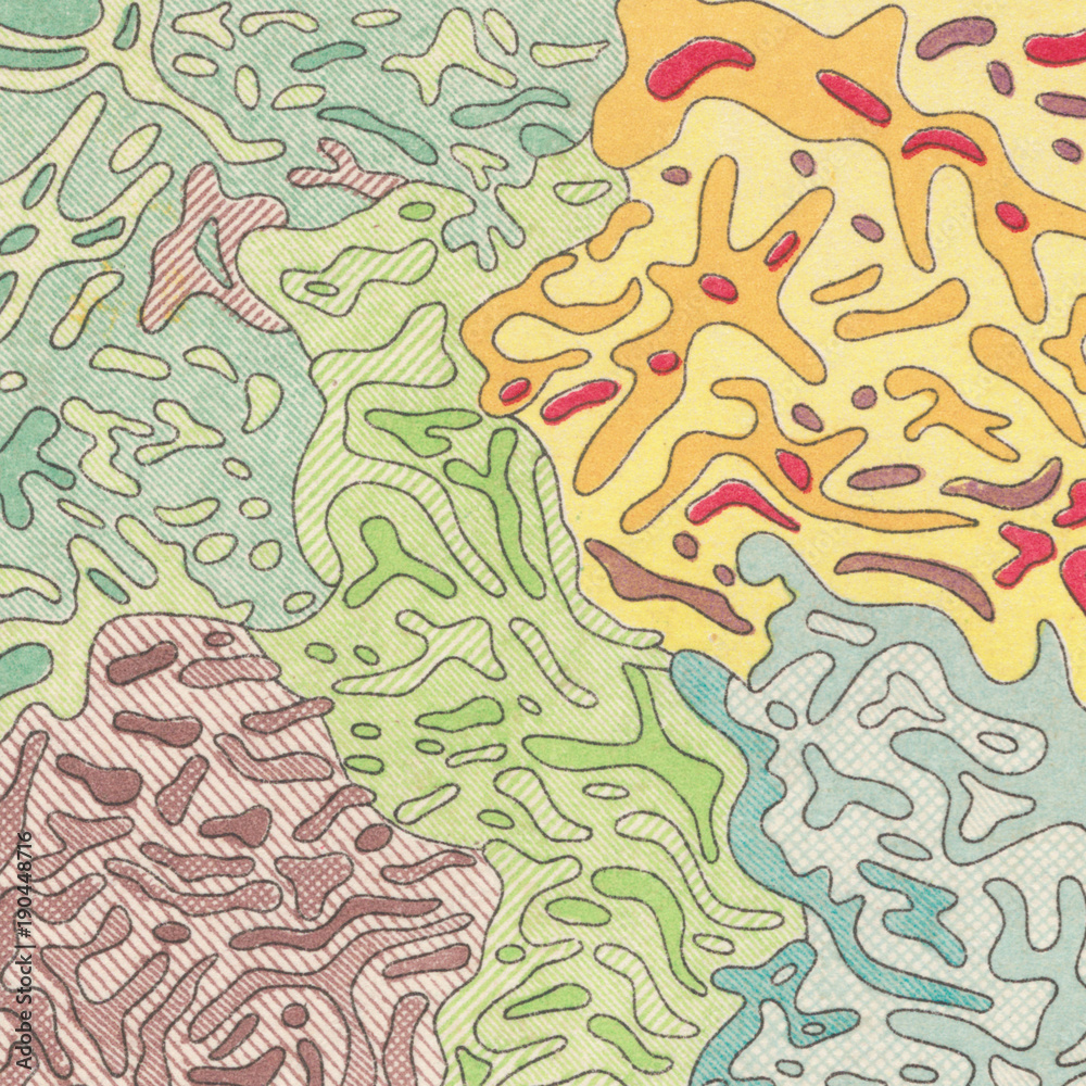 Vintage contour mapping. Natural printing illustrations of maps. Stock ...