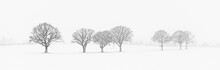 Bare Trees In Winter Snow Free Stock Photo - Public Domain Pictures