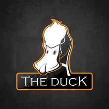 Smart Duck Free Stock Photo - Public Domain Pictures