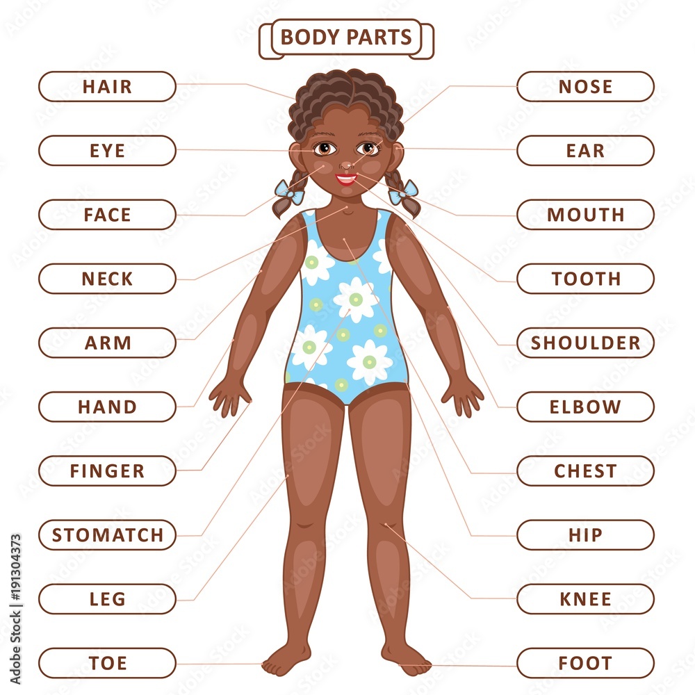 Vector flat african black girl body part vocabulary. Children education ...