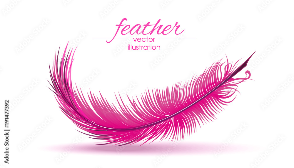 Light pink feather isolated on white background. Vector illustration ...