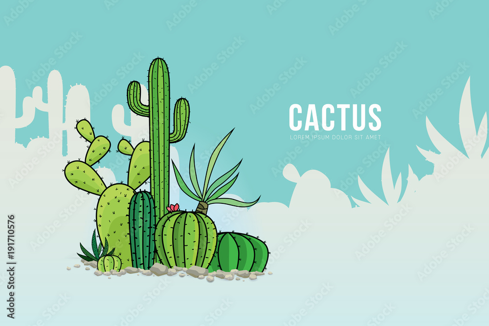 Vector of cactus plants pattern background. Stock Vector | Adobe Stock
