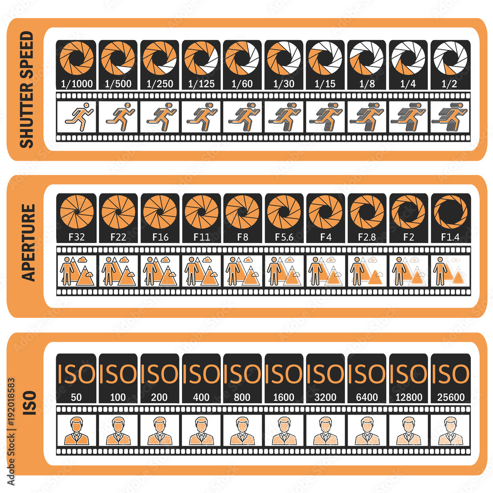 Vector de Stock Photography cheat sheet. Camera's manual. ISO, shutter ...
