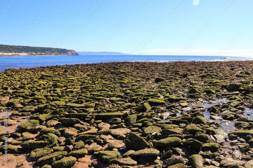 Thousands of rocks covered with silt are exposed on the seashore at low ...