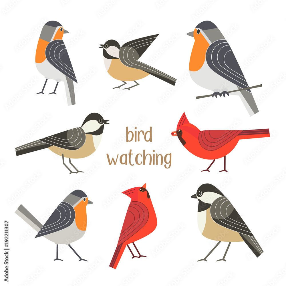 Image vectorielle Stock Birdwatching icon set. Red Northern cardinal ...
