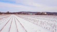 Snow Covered Corn Field Free Stock Photo - Public Domain Pictures