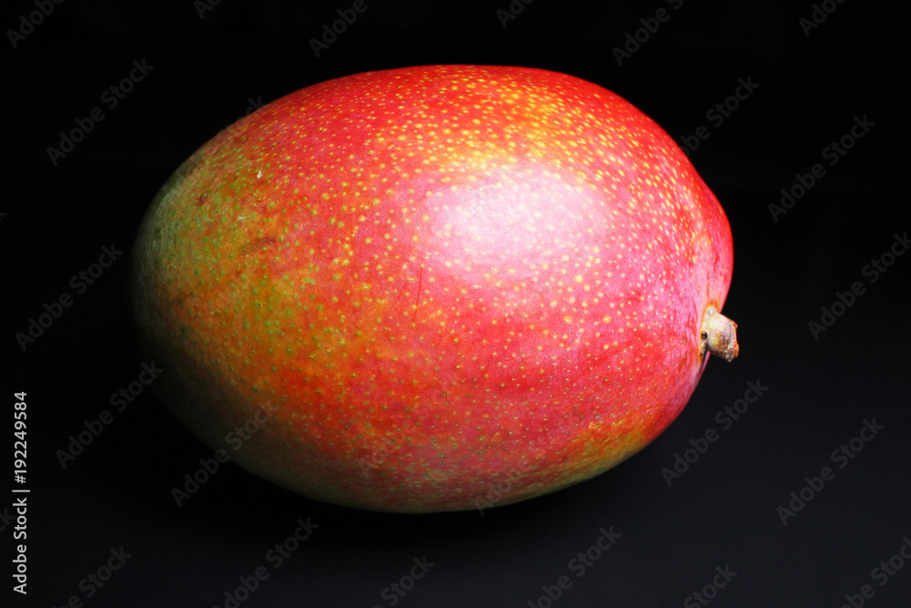 Whole mango on black reflective studio background. Isolated black shiny ...