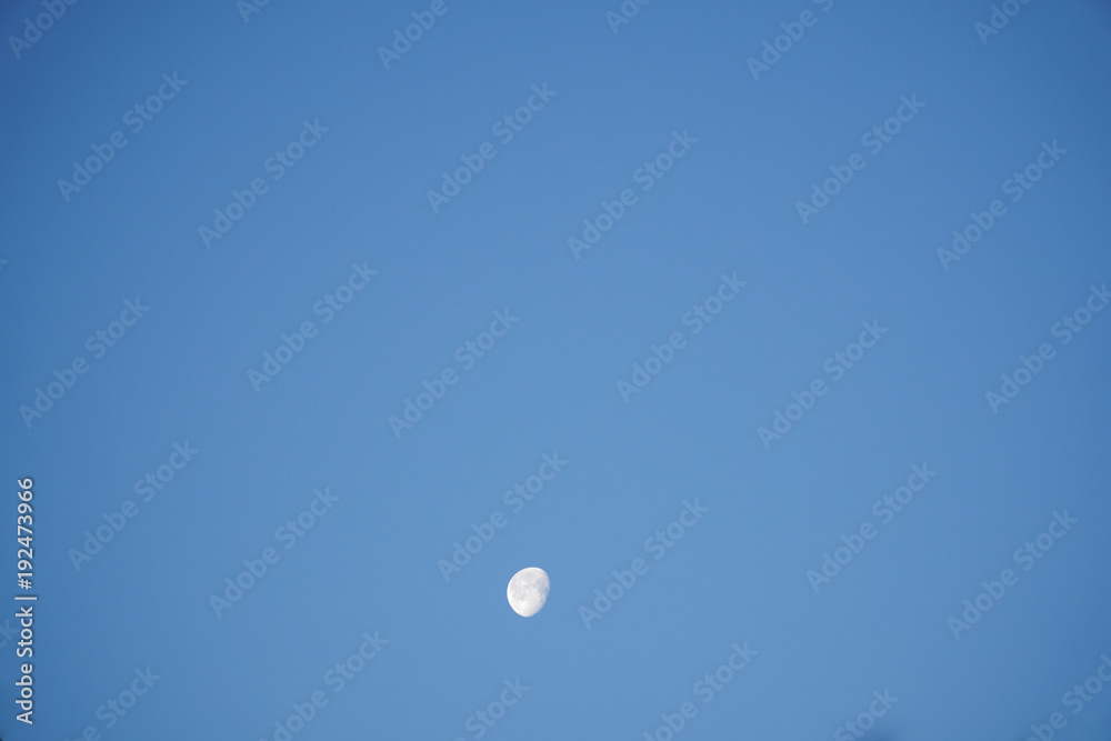 Moon in the morning The Moon is an astronomical body that orbits planet ...