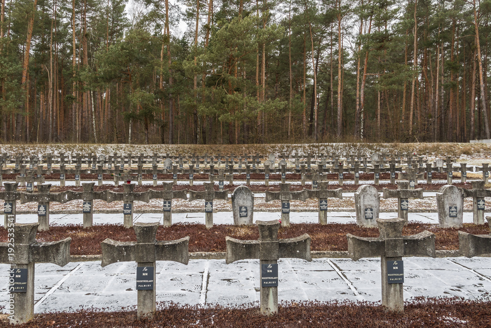 Grave crosses of the cemetery in Palmiry, place of executions by Nazi ...
