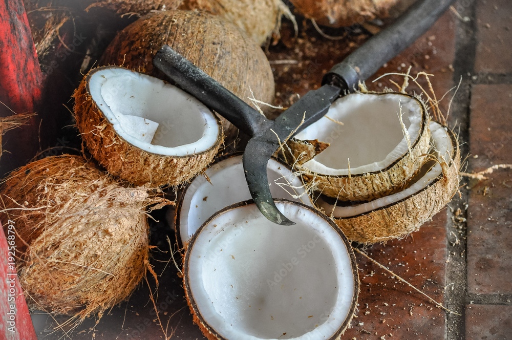 Stock-Foto „Coconut it has three layers: the exocarp, mesocarp, and ...