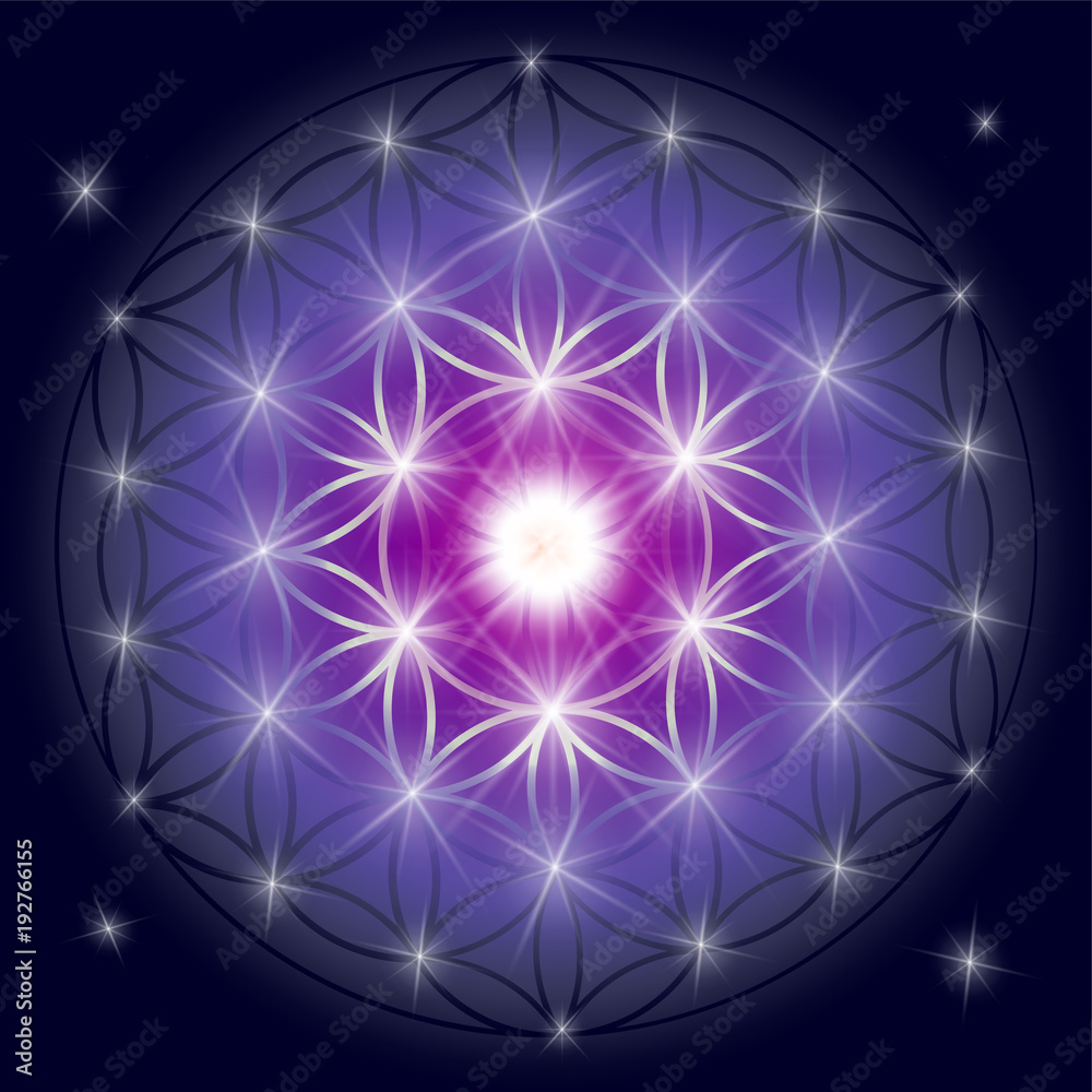 Sacred geometry illustration: Flower of Life, also known as Seed of ...