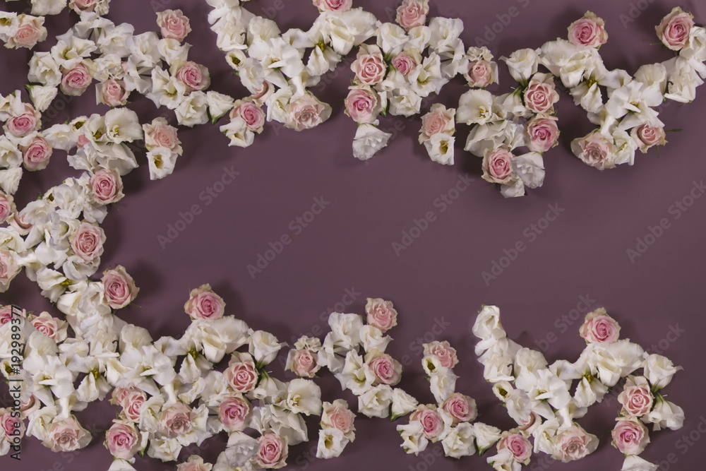 maternity digital backdrop Stock Photo | Adobe Stock