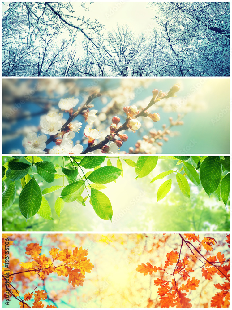 Four seasons. A pictures that shows four different pictures ...