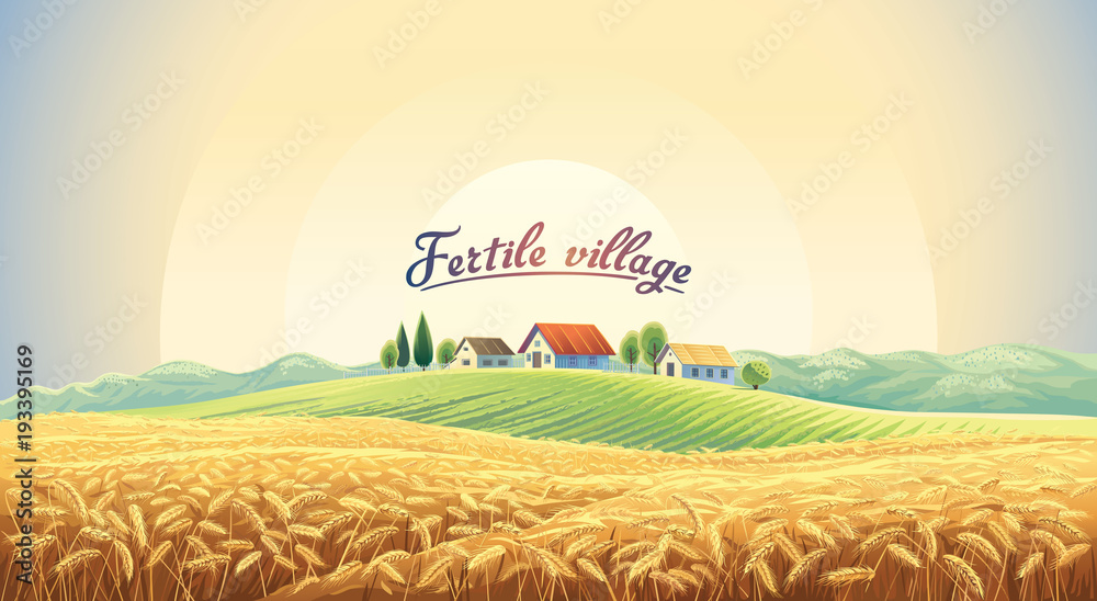 Rural landscape with a wheat field and a village on a hill. Vector ...