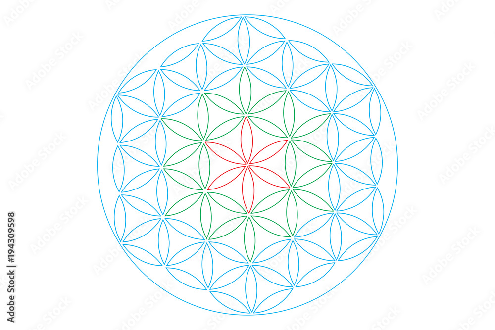 Image vectorielle Stock Sacred Geometry Vector Symbol: Flower of Life ...