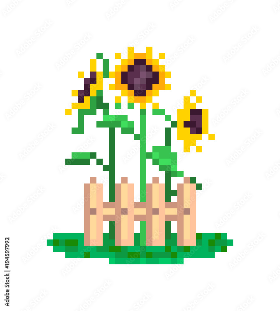 3 yellow sunflowers growing behind wood fence, summer scene, pixel art ...
