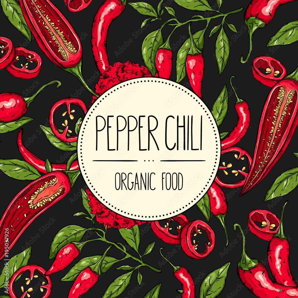 Vector hand-drawn banner with mexican hot pepper chili, slices, halves ...