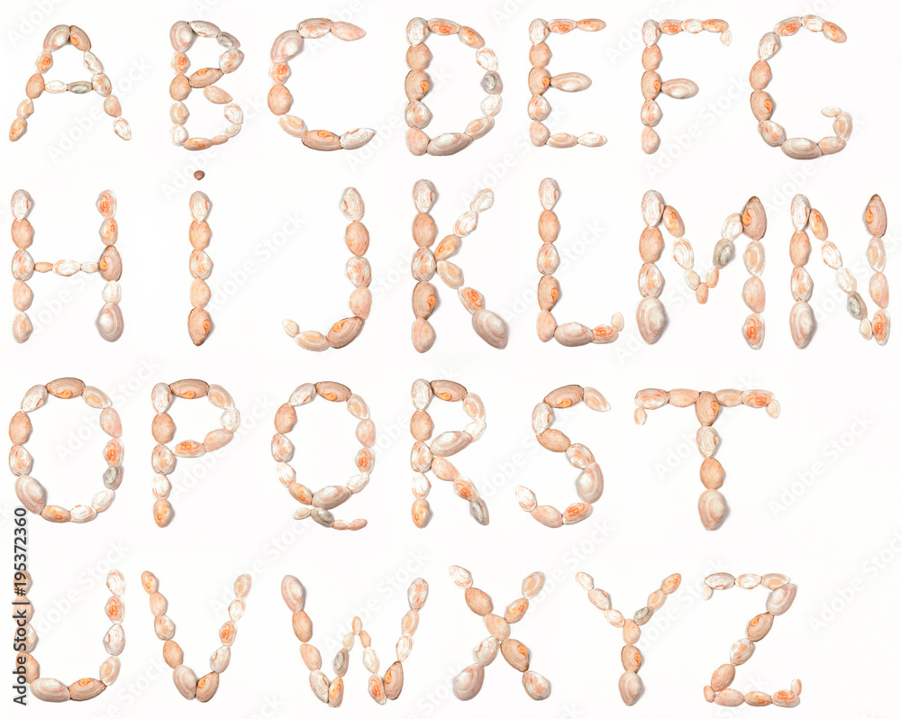 Alphabet, English, school education, seashell alphabet, isolated ...