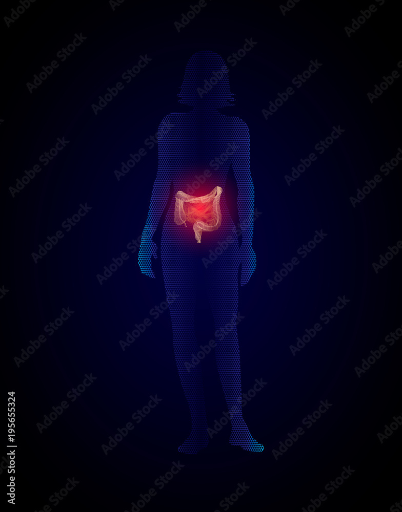 silhouette of woman with intestines, medical illustration. Meteorism ...