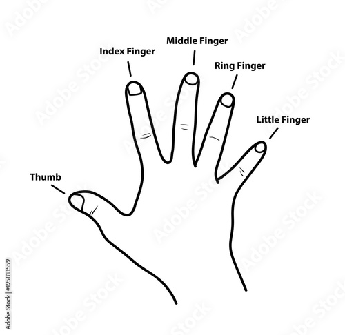 Fingers Names of Human Body Parts colorless, a hand drawn vector doodle ...
