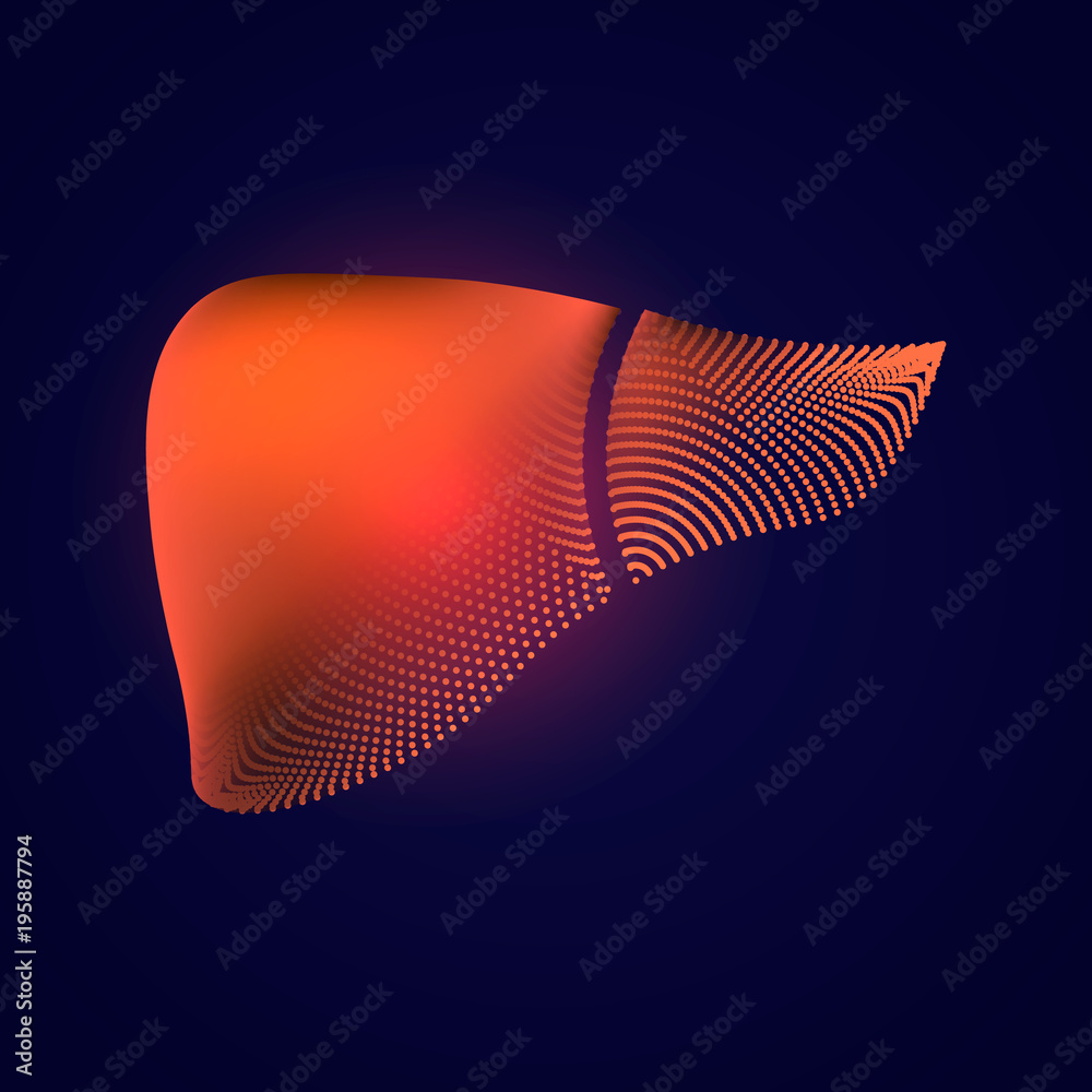 Liver with a point of pain. Stylized transition from a real organ to an ...