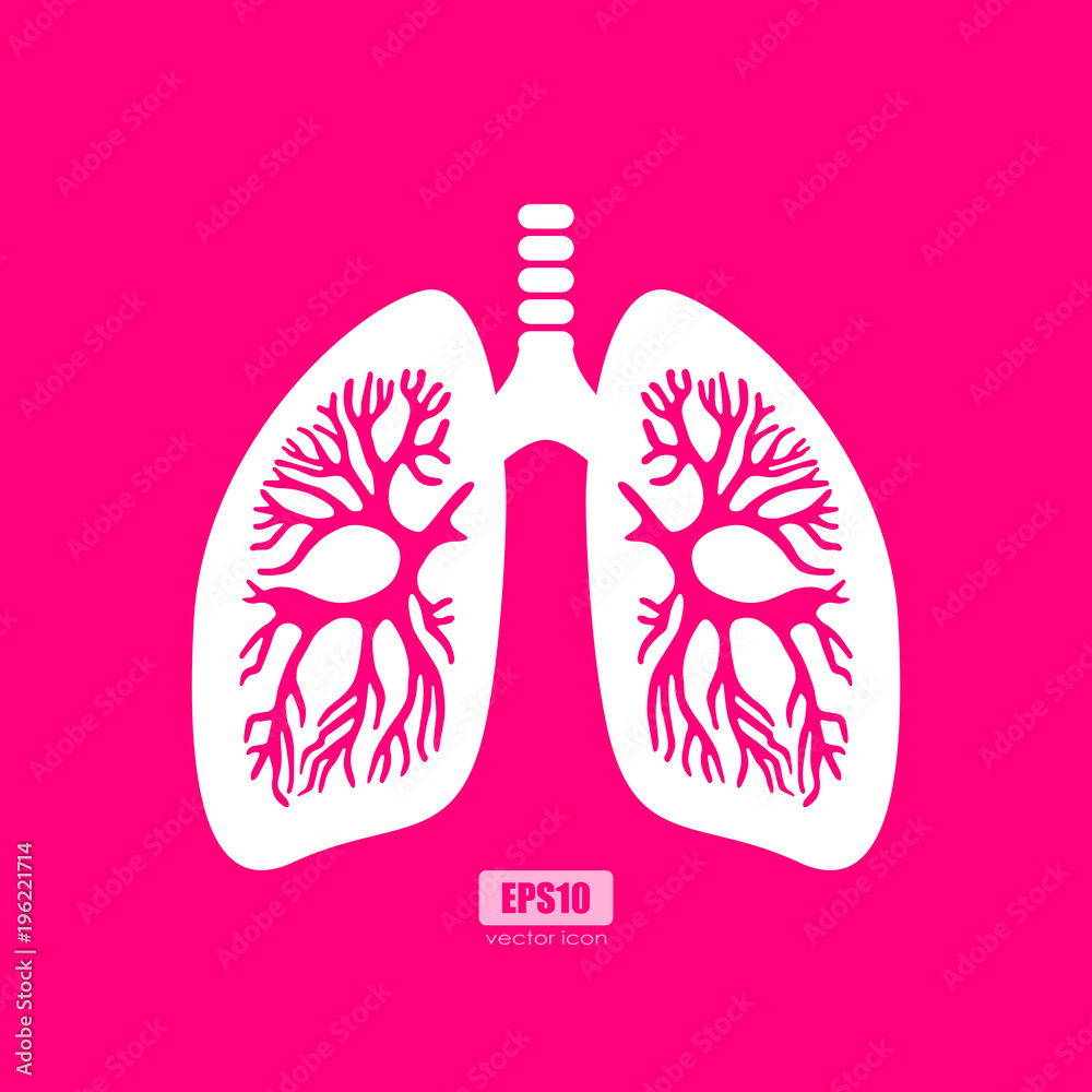 Lungs anatomy vector poster Stock Vector | Adobe Stock