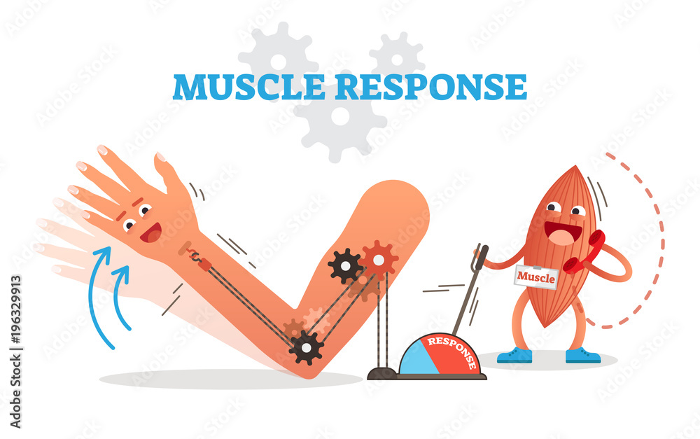 Muscle response conceptual vector illustration scheme with cartoon ...