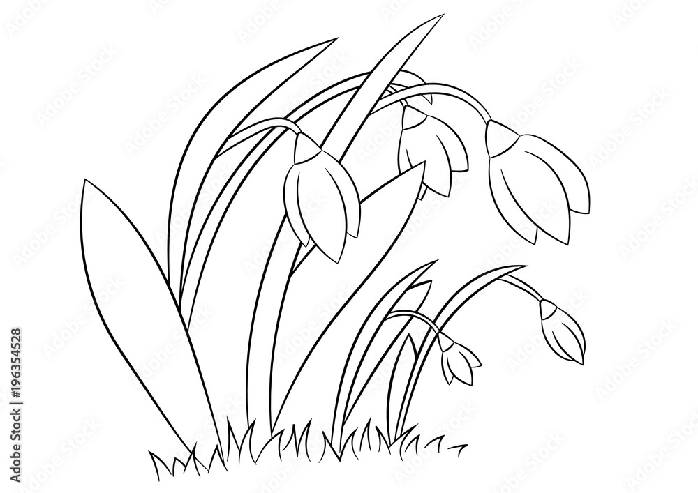 Spring flowers Snowdrops. Coloring page, book for children and adults ...